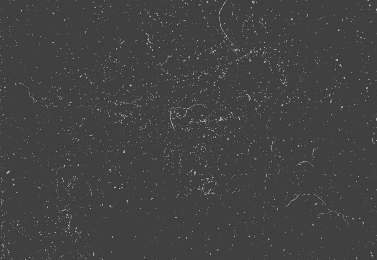 grey-scratch - Walk off the War Within